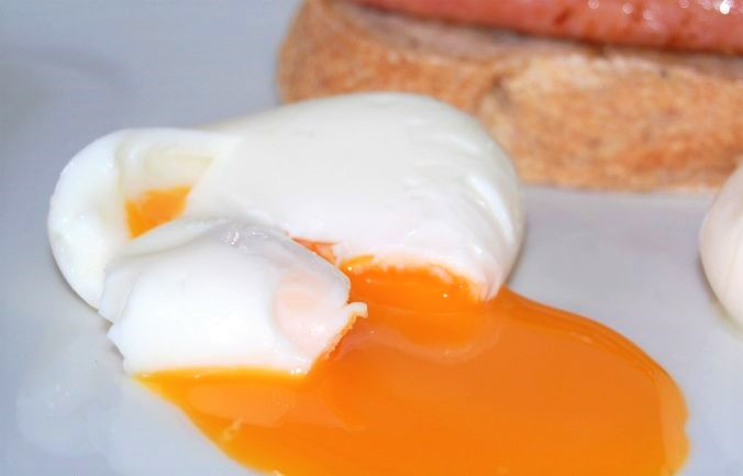 Huevos tibios | -dedogmasyrenuncias- javiercravioto.com